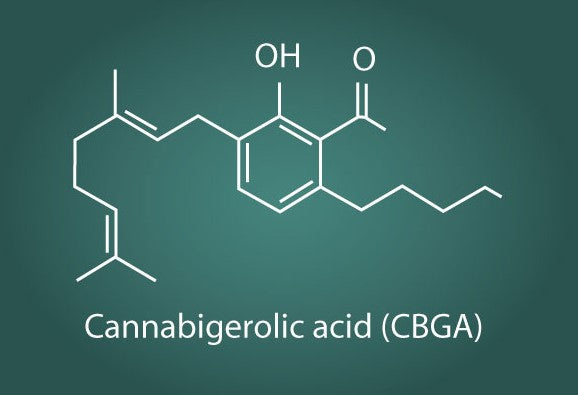 *CBGA – Crested River